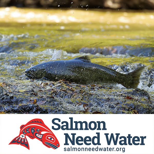 Frequently Asked Questions | Salmon Need Water | Facts on Adjudication